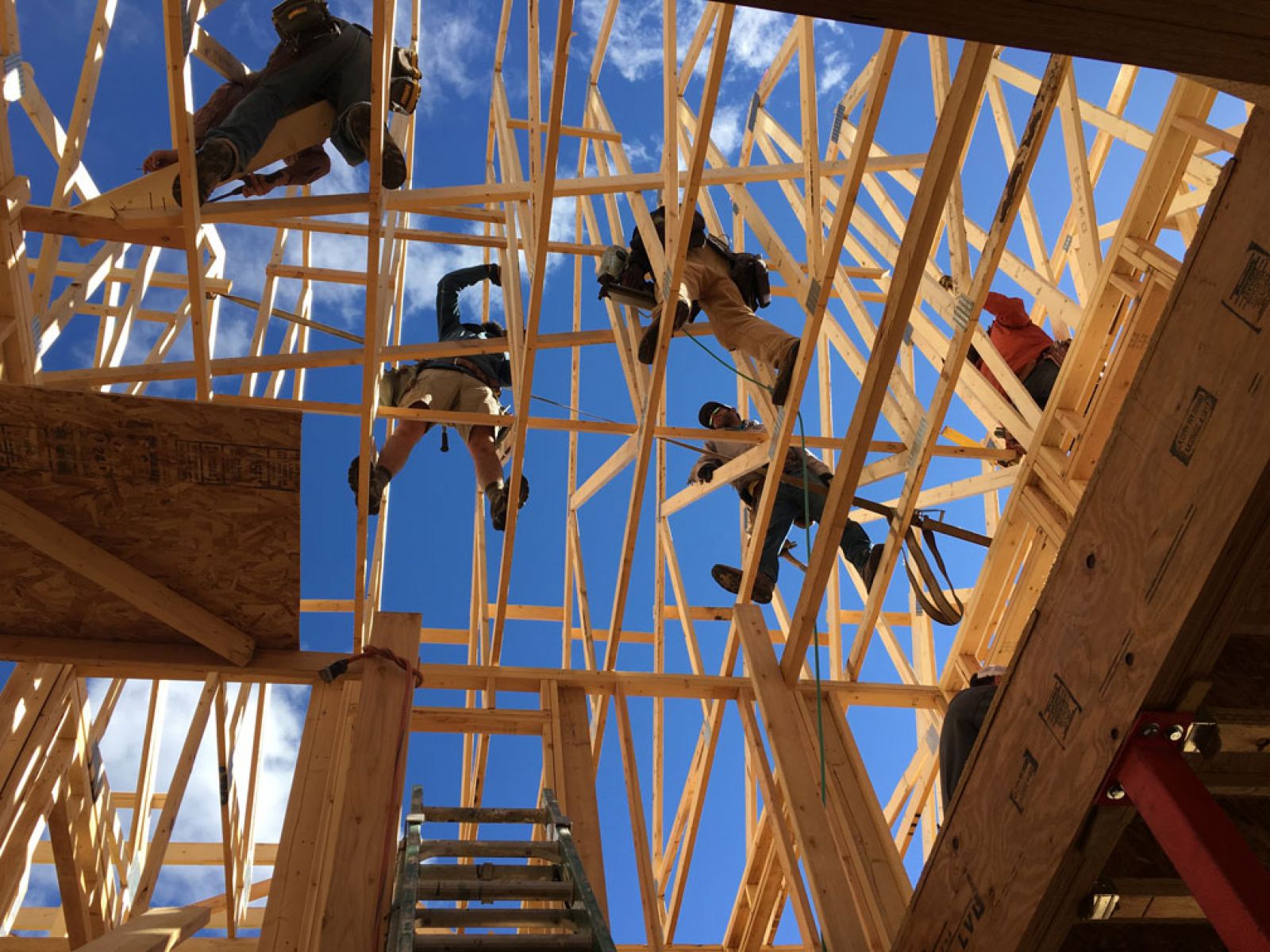 Fish Builders of Colorado - Residential and Small Commercial Construction